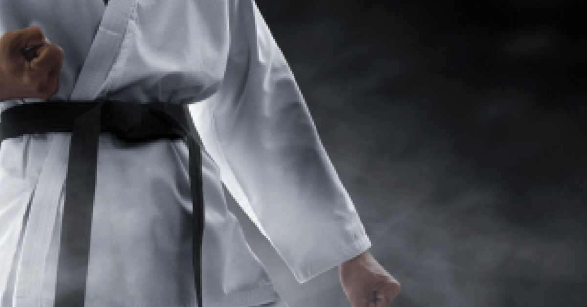 How to Be a Black Belt Leader - Business In Action