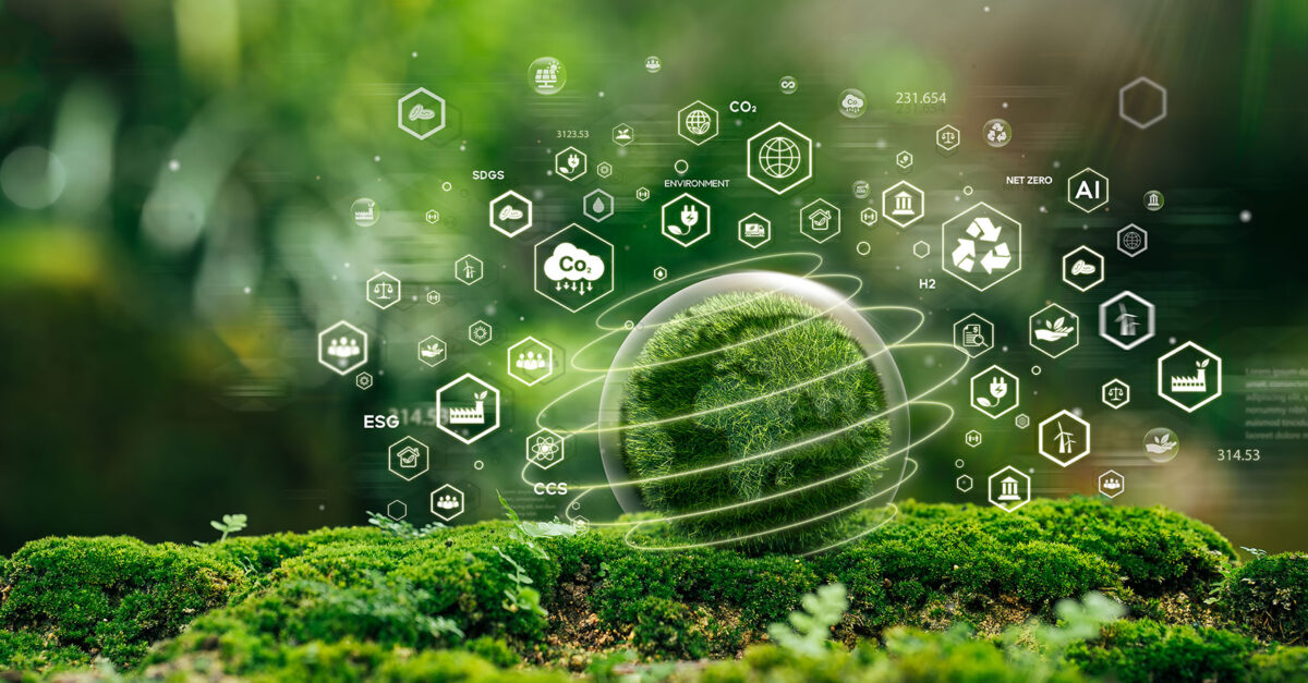 How to Conduct a Sustainability Audit - Business In Action